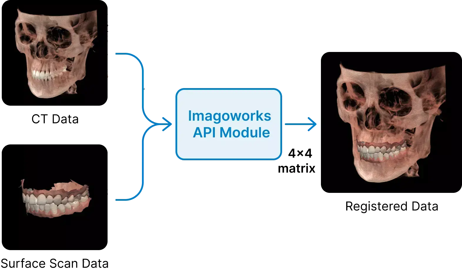 A slide explaining the API information and files provided and a ...