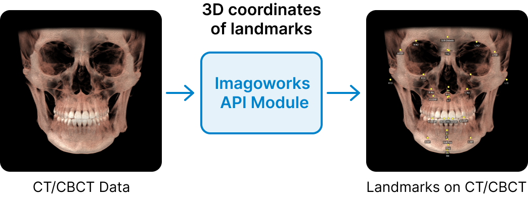 A slide explaining the API information and files provided and a ...