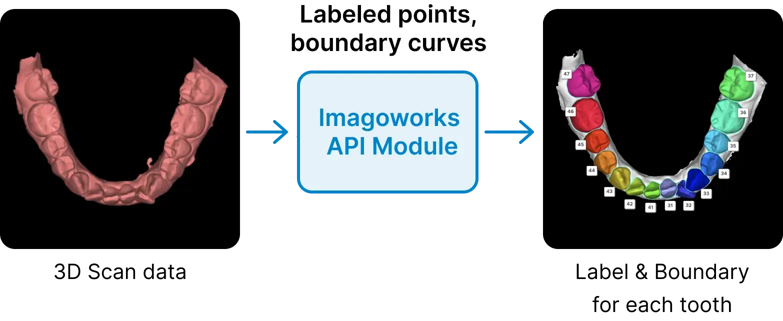 A Slide Explaining The Api Information And Files Provided And A